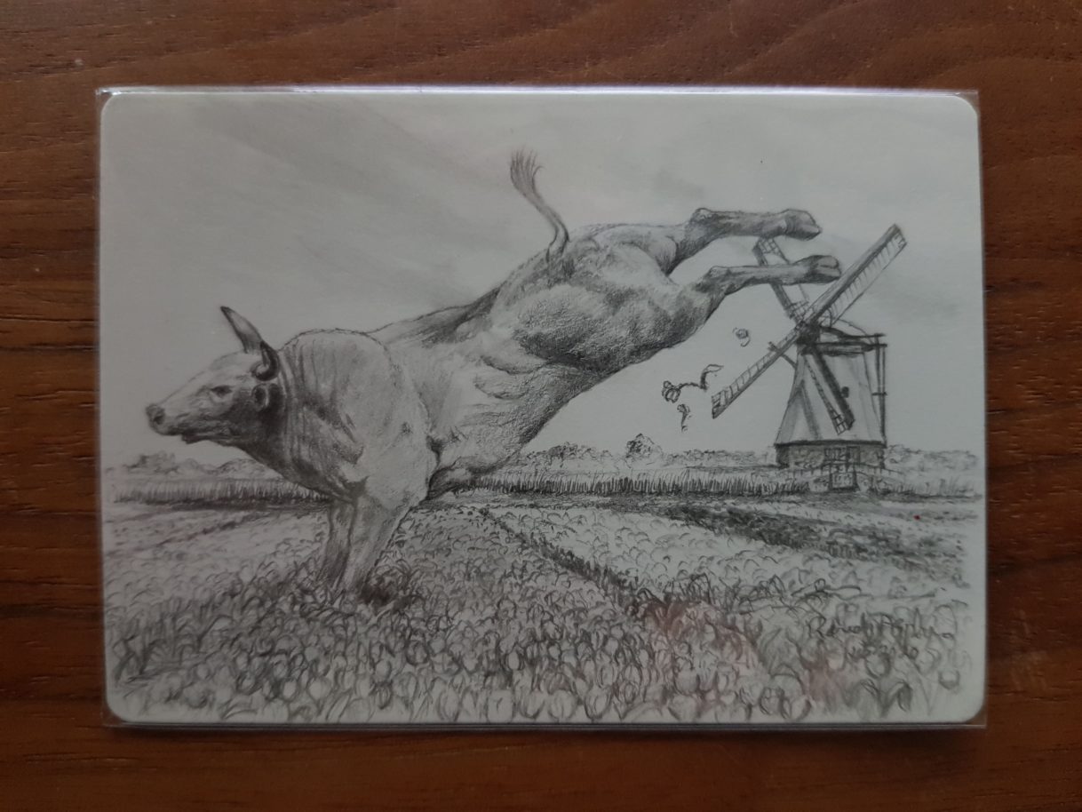 Raging Bull Series: 2020 - Artist sketch reveal - Raging Bull